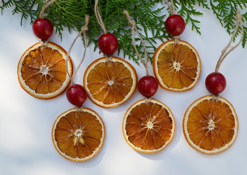 Set of 6 Citrus Ornaments, Dried Fruit, Christmas Tree Ornament ...