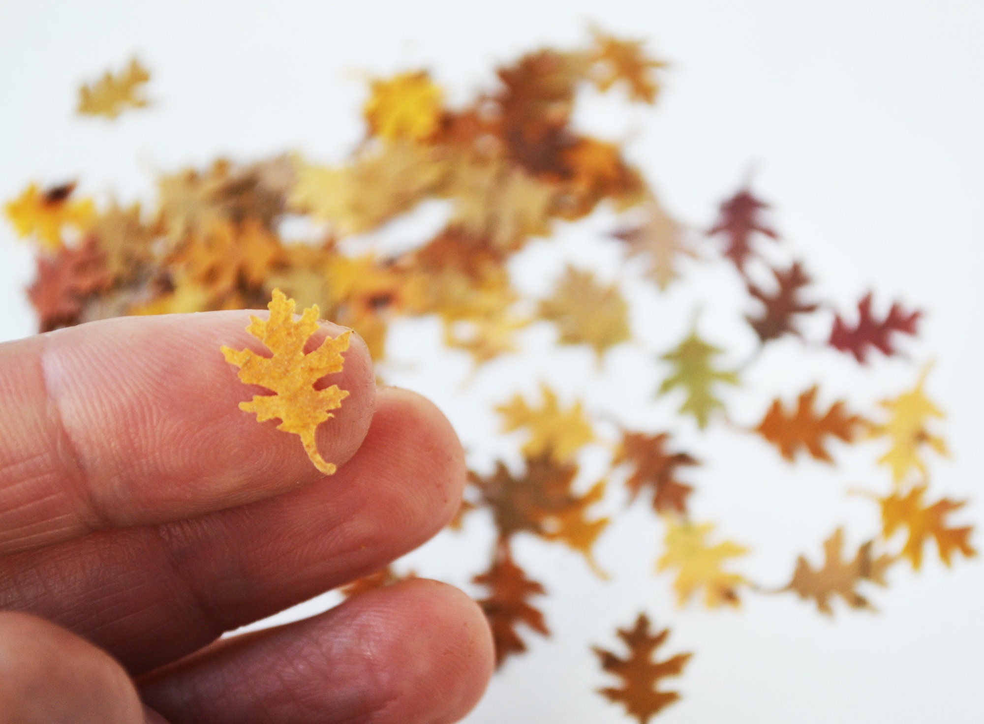 Mini Dried Leaves for Miniature Gardens, Dollshouses, Dioramas, Leaf ...