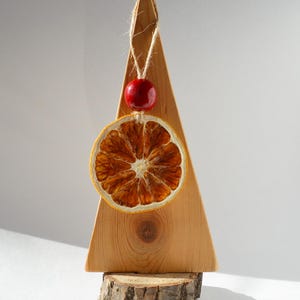 Set of 6 Citrus Ornaments, Dried Fruit, Christmas Tree Ornament ...