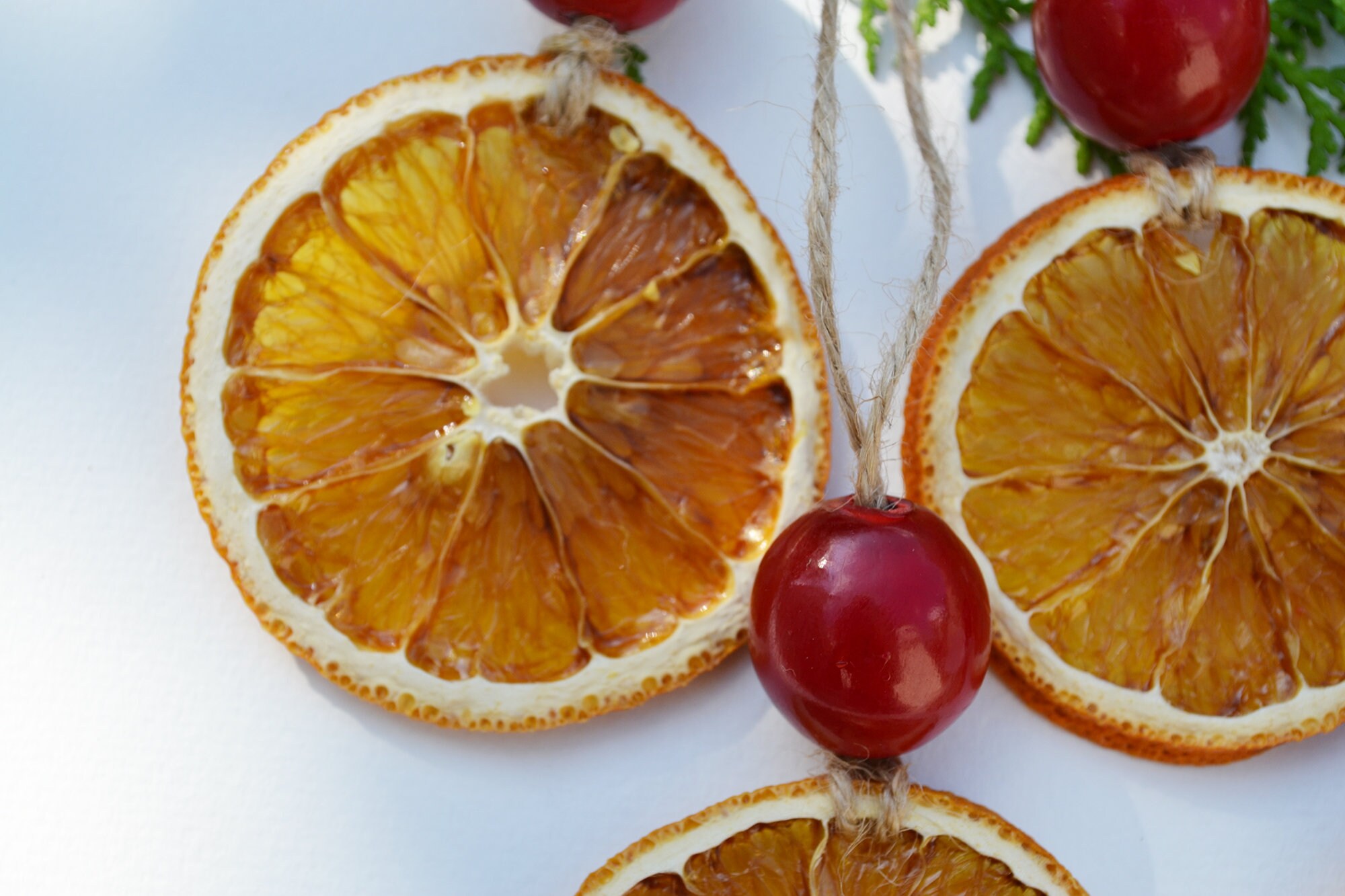 Set of 6 Citrus Ornaments, Dried Fruit, Christmas Tree Ornament ...