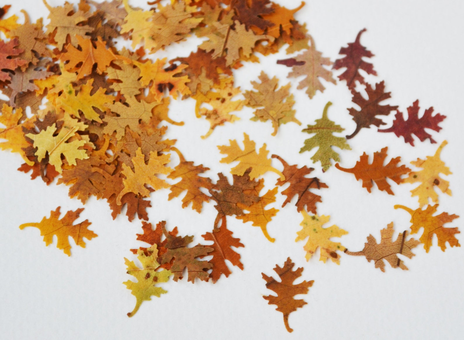 Mini Dried Leaves for Miniature Gardens, Dollshouses, Dioramas, Leaf ...