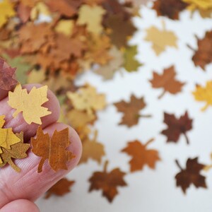 Mini Dried Leaves, Leaf Confetti, Fall Leaves for Crafts, Eco Confetti ...