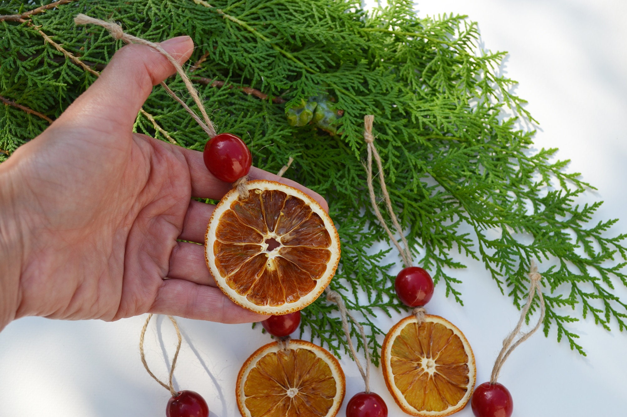 Set of 6 Citrus Ornaments, Dried Fruit, Christmas Tree Ornament ...