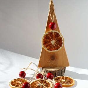 Set of 6 Citrus Ornaments, Dried Fruit, Christmas Tree Ornament ...