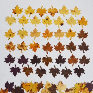 Mini Dried Leaves, Leaf Confetti, Fall Leaves for Crafts, Eco Confetti ...