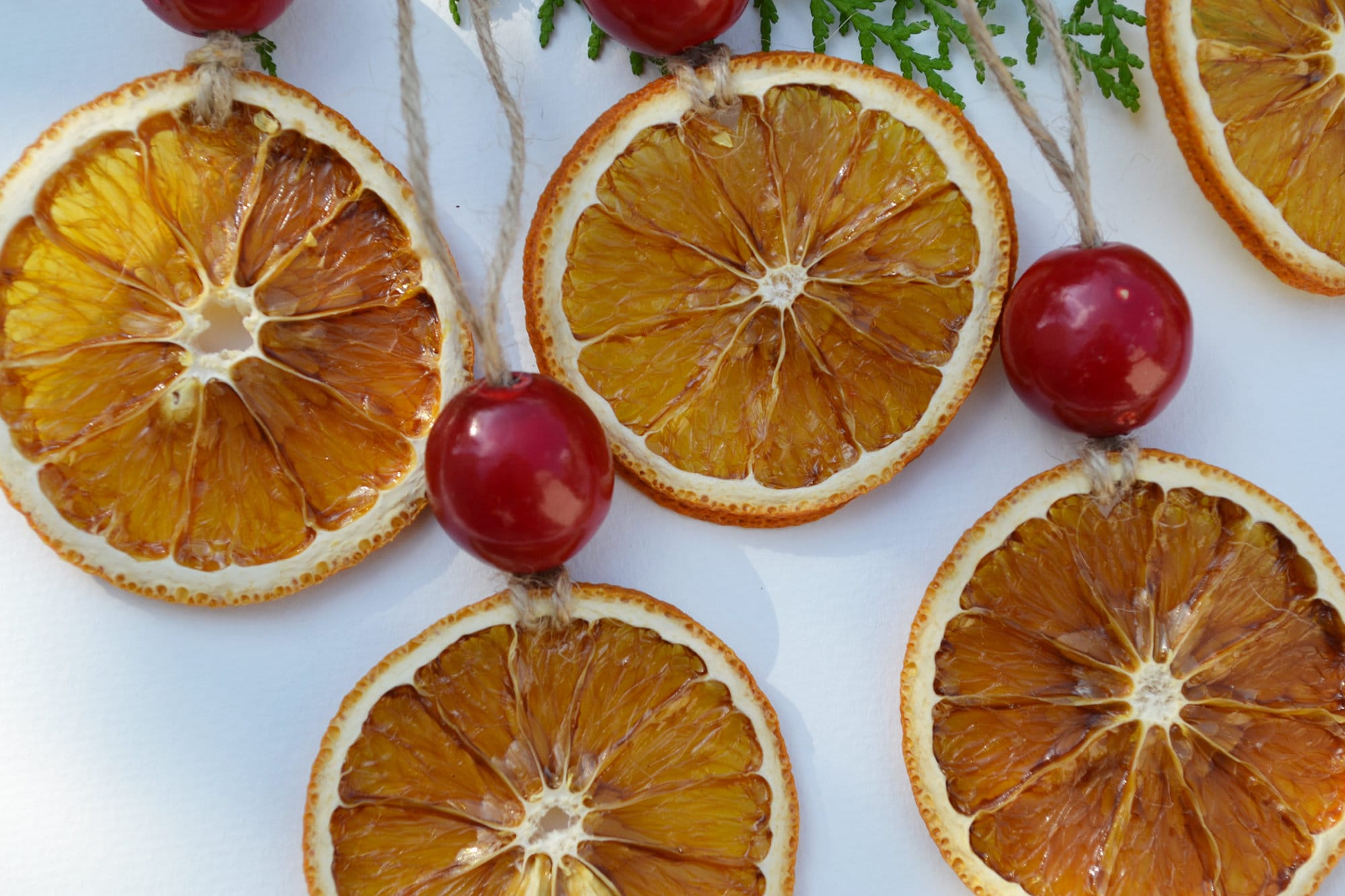 Set of 6 Citrus Ornaments, Dried Fruit, Christmas Tree Ornament ...