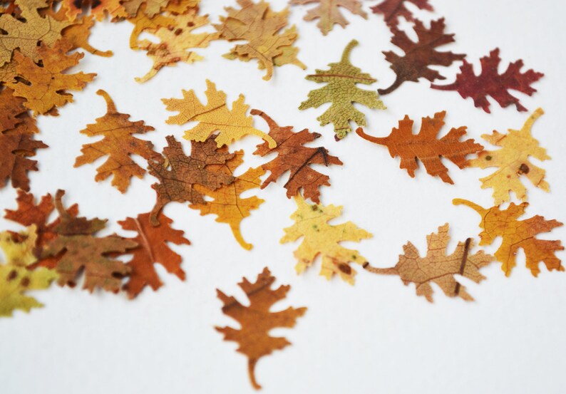 Mini Dried Leaves for Miniature Gardens, Dollshouses, Dioramas, Leaf ...