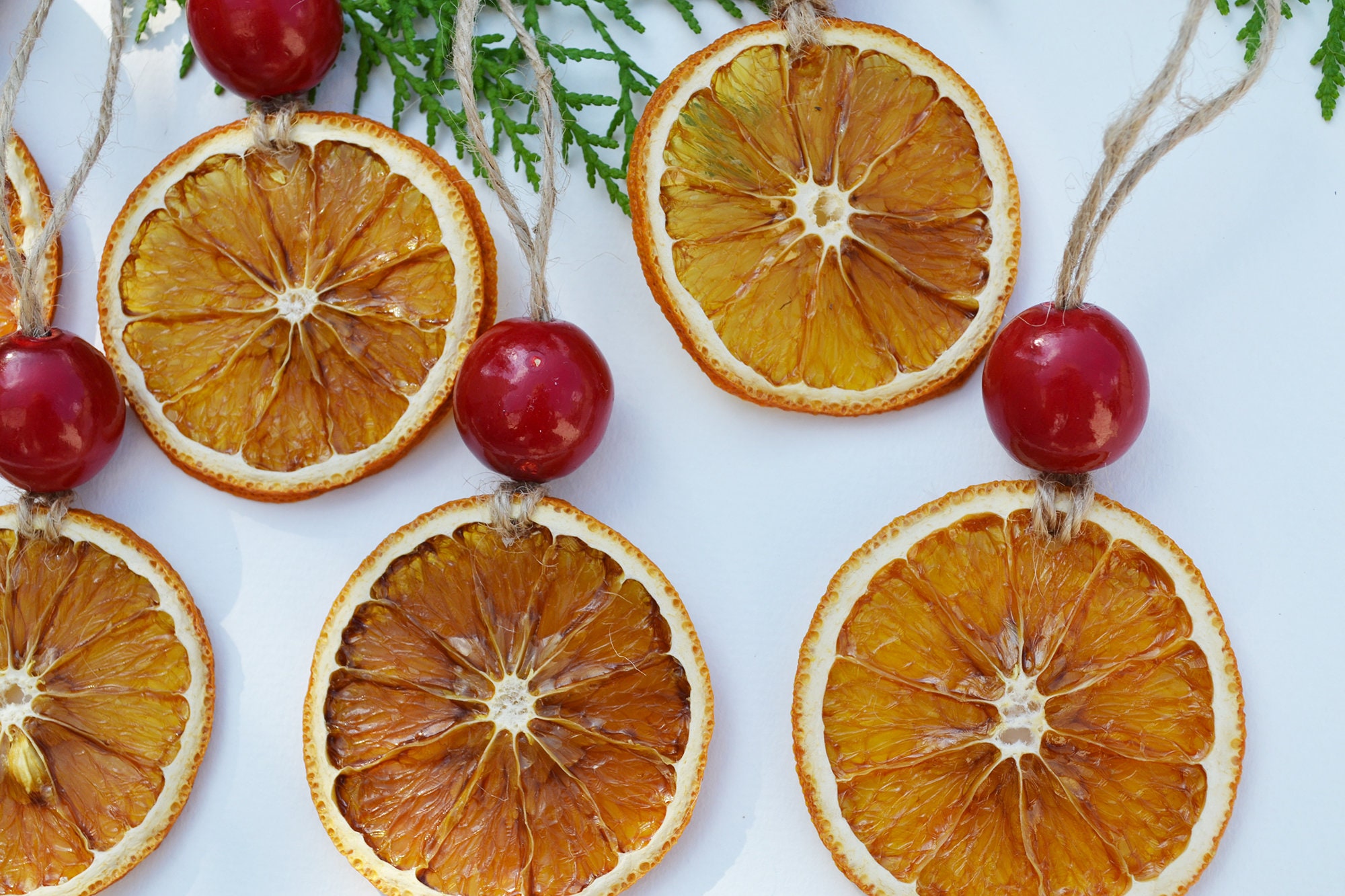 Set of 6 Citrus Ornaments, Dried Fruit, Christmas Tree Ornament ...