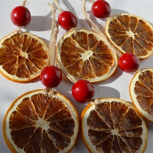 Set of 6 Citrus Ornaments, Dried Fruit, Christmas Tree Ornament ...