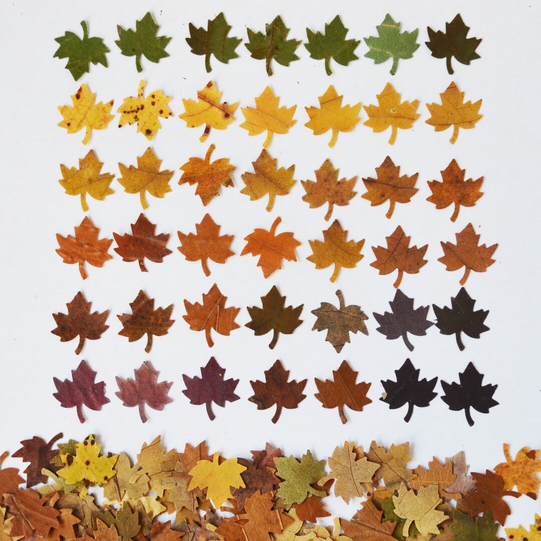 Mini Dried Leaves, Leaf Confetti, Fall Leaves for Crafts, Eco Confetti ...