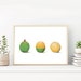 Quenepas Poster/ Quenepas Drawing/ Guinep/ Caribbean Fruit/ Mamoncillo ...