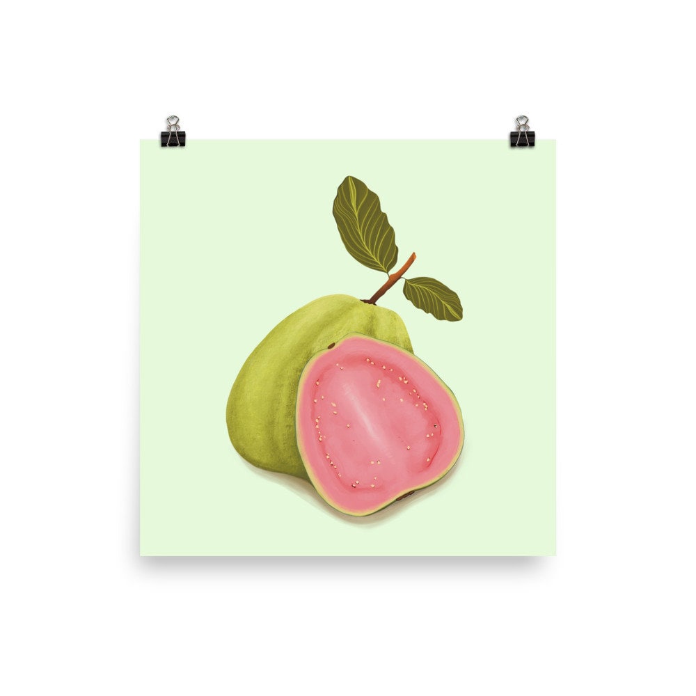 Guava Poster/ Guayaba/cute Botanical Art - Etsy