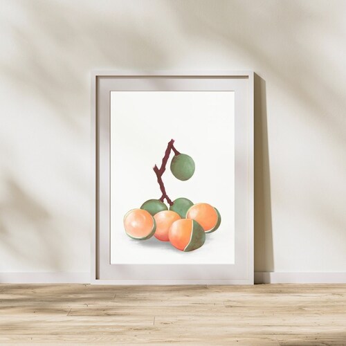 Guava Tropical Fruit/ Wall Art/ Print/decor/poster/ Fruit Art - Etsy