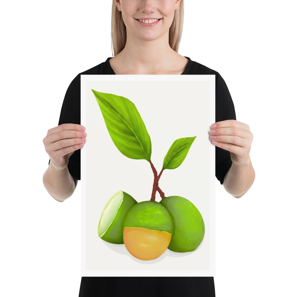 Quenepas Poster/mamoncillos/quinep/fruit Art/spanish Lime - Etsy