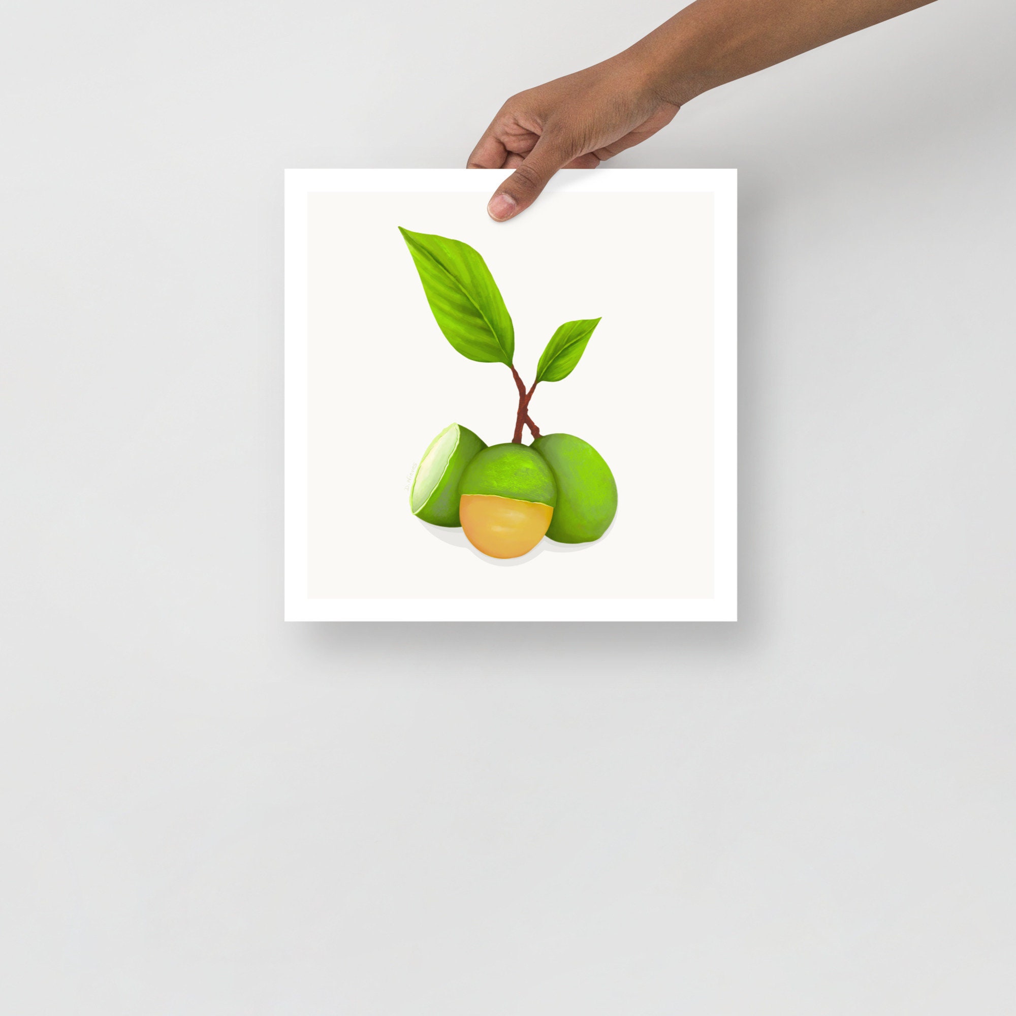 Quenepas Poster/mamoncillos/quinep/fruit Art/spanish Lime - Etsy
