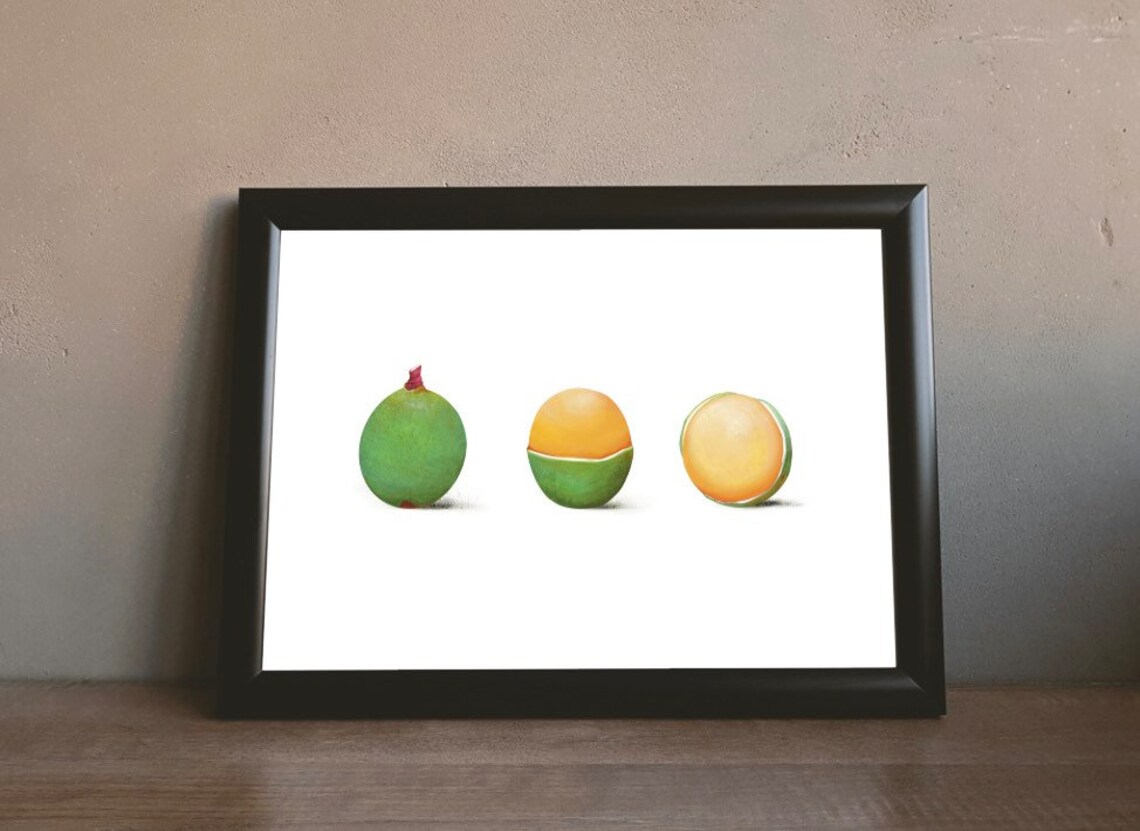 Quenepas Poster/ Quenepas Drawing/ Guinep/ Caribbean Fruit/ Mamoncillo ...