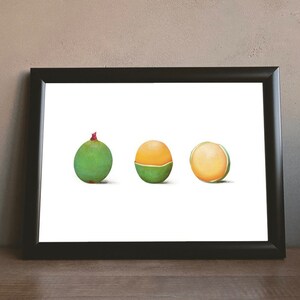 Quenepas Poster/ Quenepas Drawing/ Guinep/ Caribbean Fruit/ Mamoncillo ...