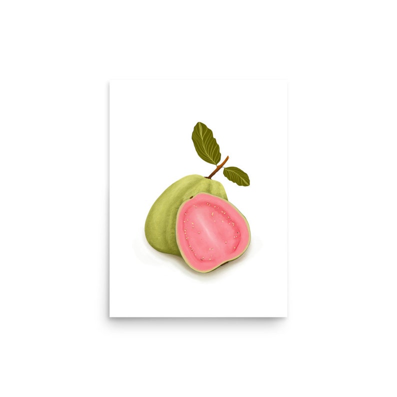 Guava Tropical Fruit/ Wall Art/ Print/decor/poster/ Fruit Art - Etsy