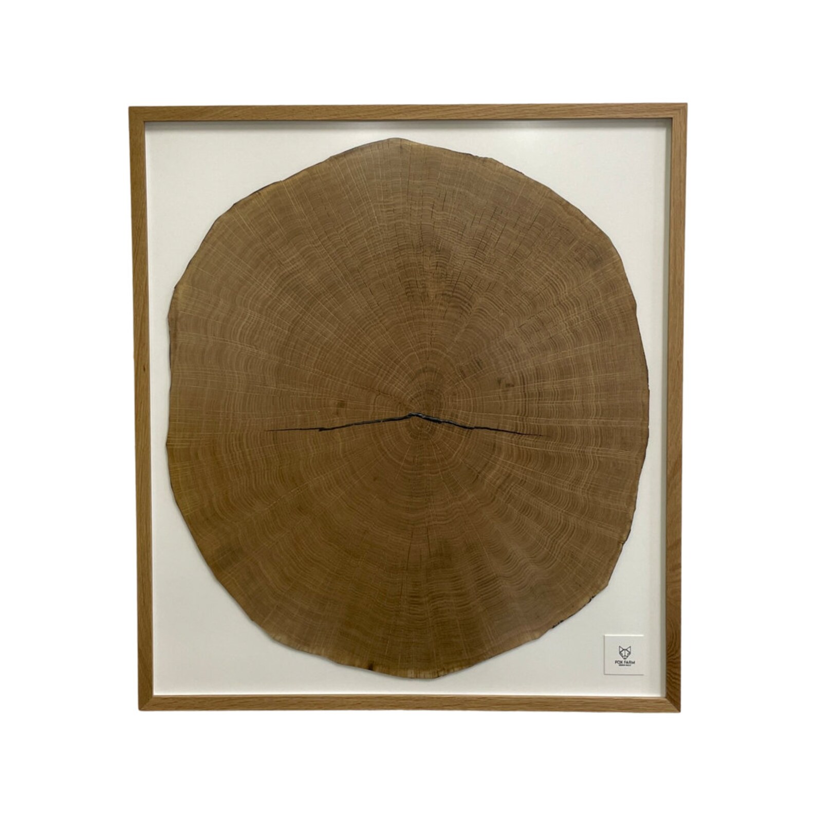 Tree Ring Framed Wall Art - Etsy