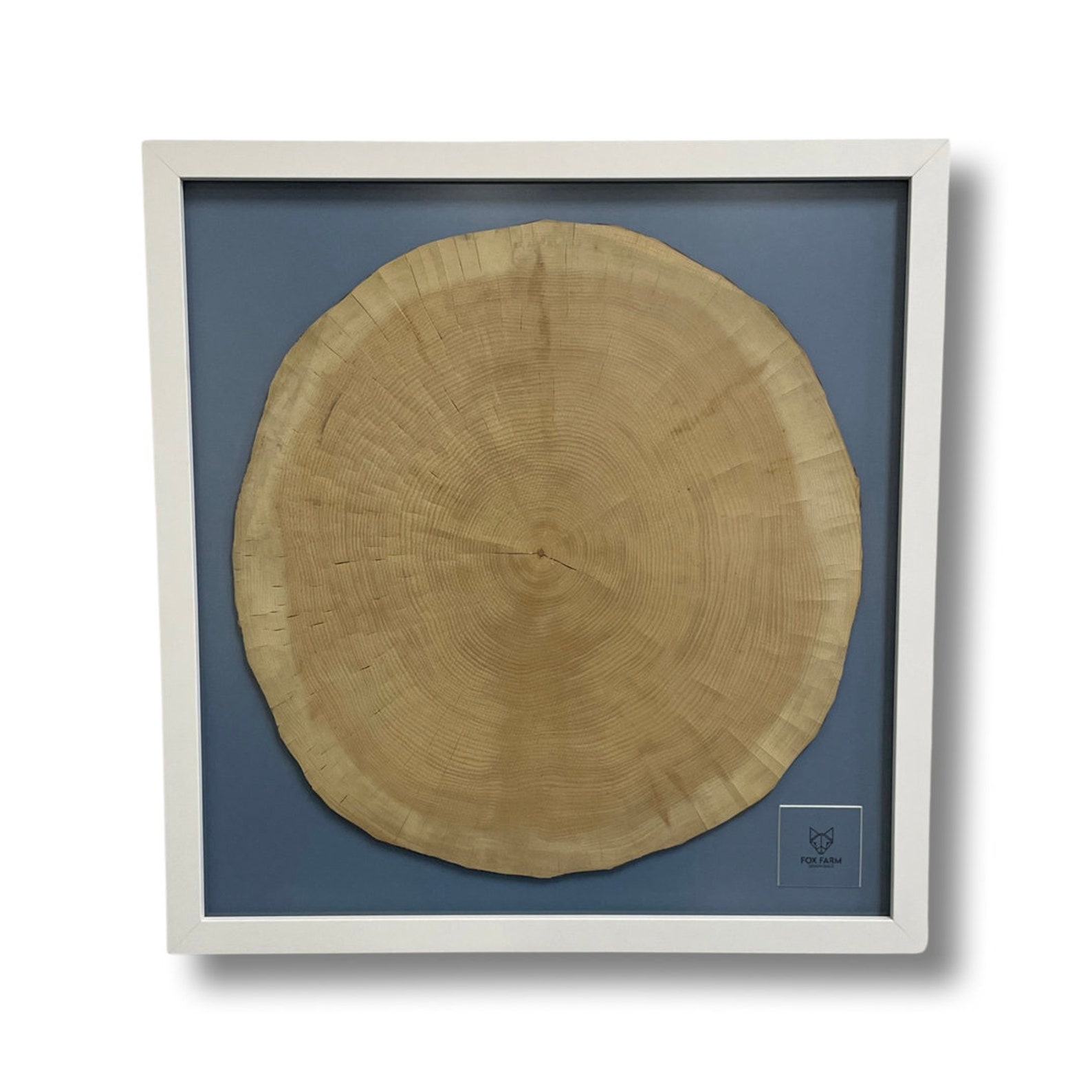 Tree Ring Framed Wall Art - Etsy