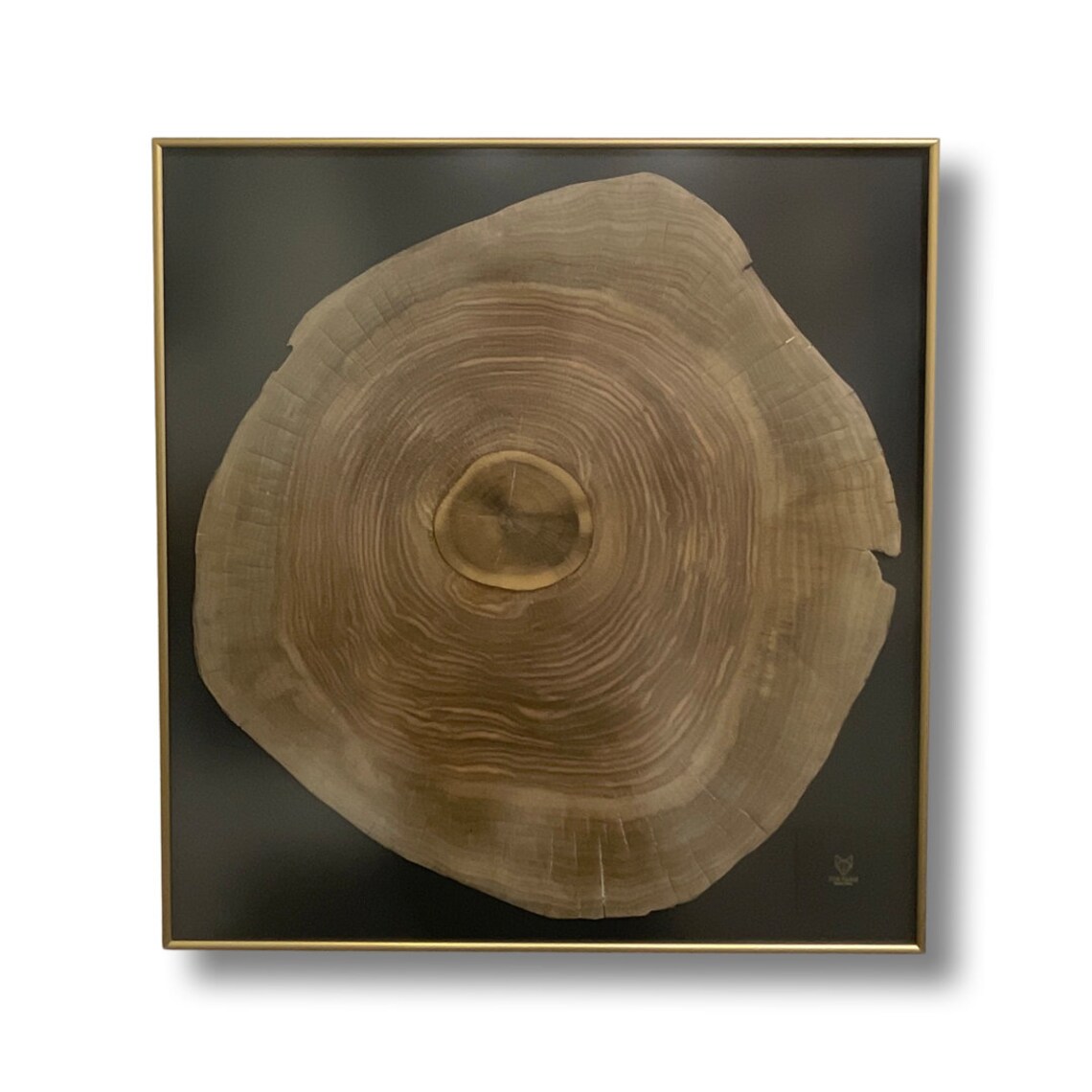 Tree Ring Framed Wall Art - Etsy
