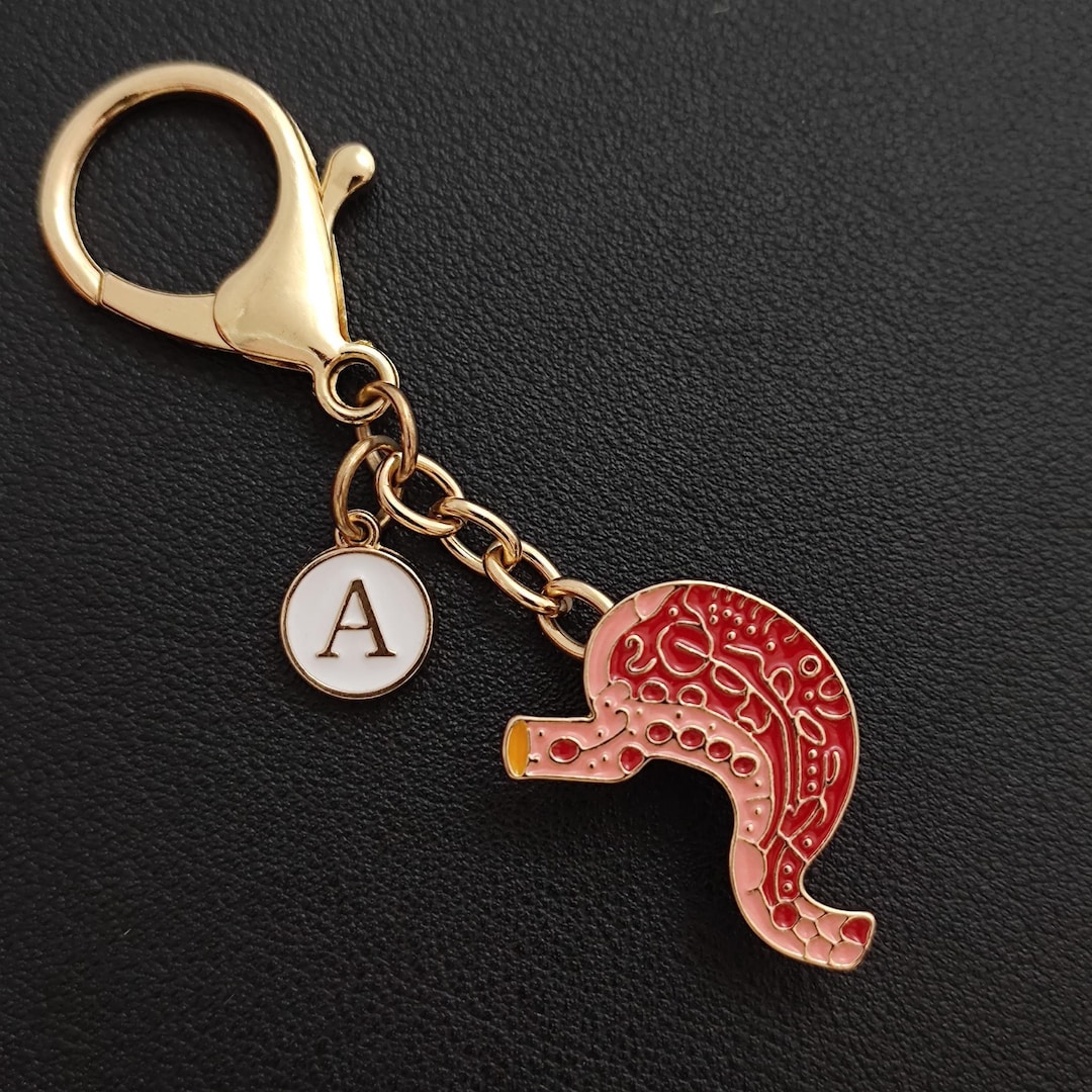 Stomach Bag Charm - Dual-purpose Human Organs Pin - Etsy