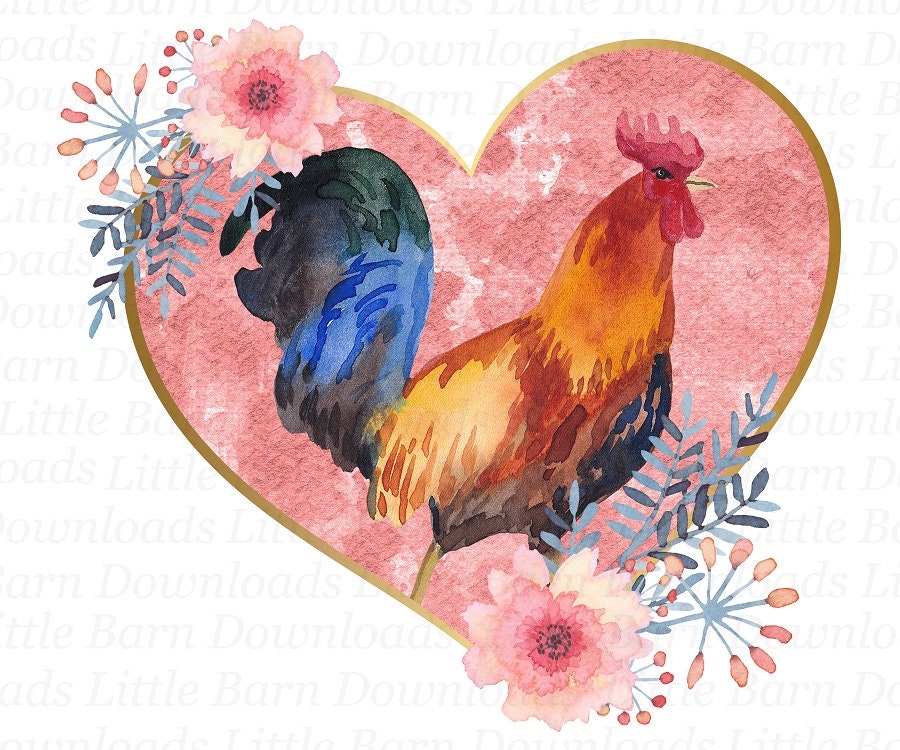 Chicken PNG Bundle Cockerel Clipart Rooster Png Sublimation - Etsy