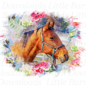 Horse PNGS, Clipart Bundle, Horse Transfers, Sublimation Bundle, Horse ...