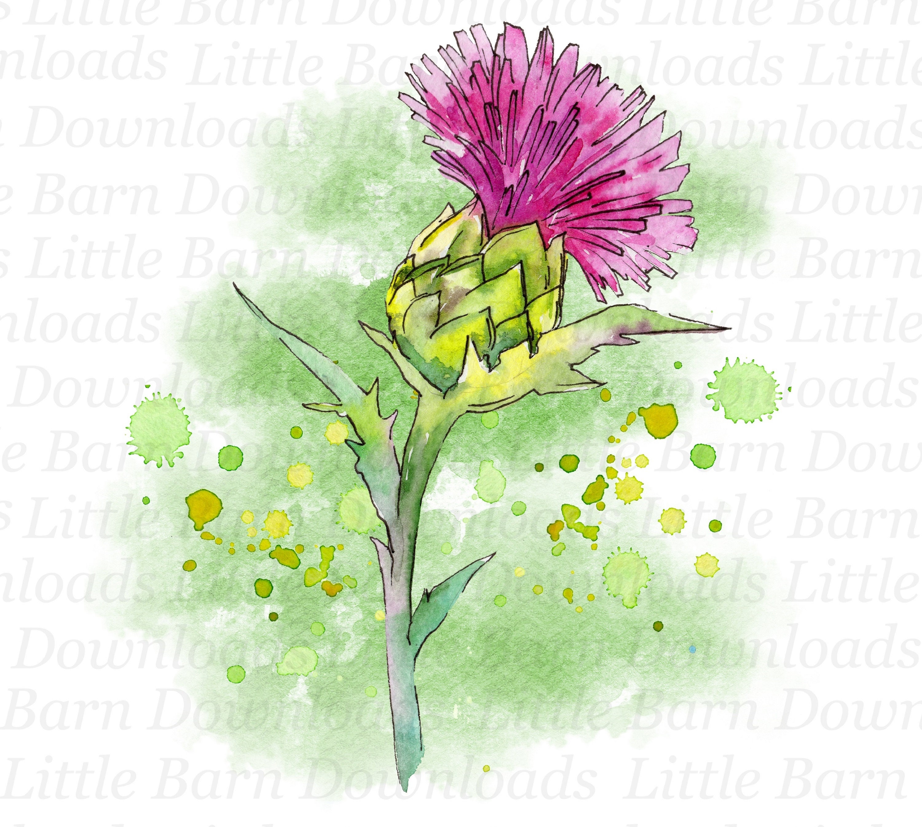 Thistle Clipart