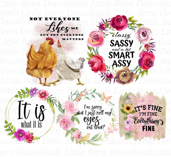 Sassy PNG Bundle Funny Sayings Clipart Digital Decals - Etsy