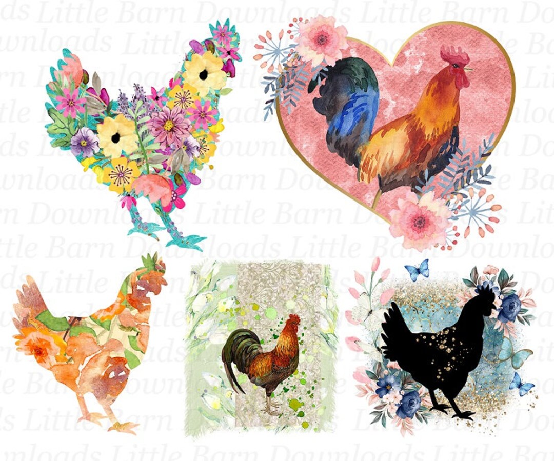 Chicken PNG Bundle, Cockerel Clipart, Rooster Png, Sublimation Graphic ...