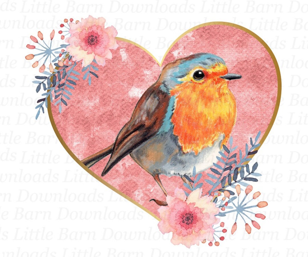 Robin Clipart, Robin Sublimation, Waterslide Graphics, Design Elements ...