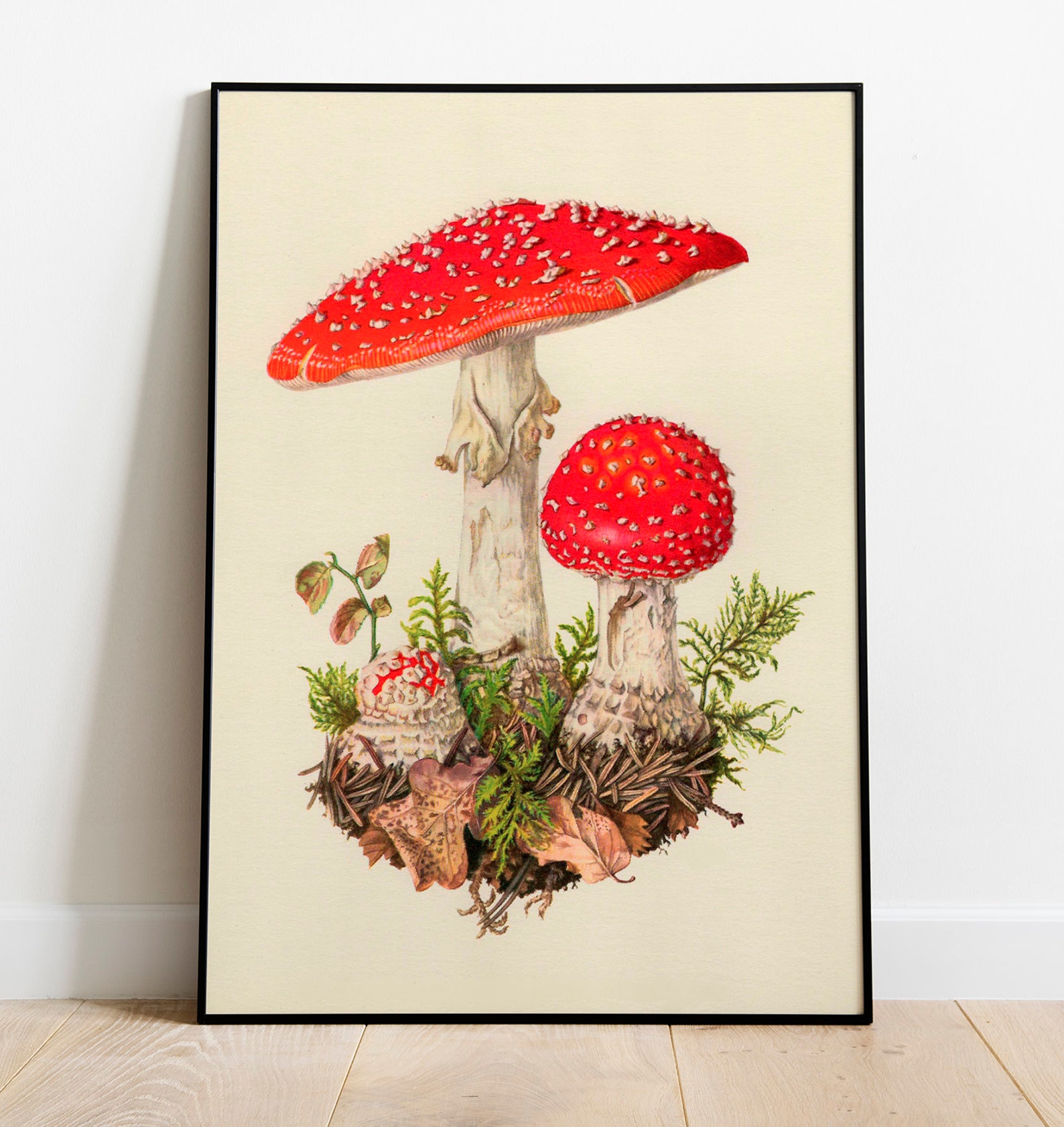 Vintage Mushroom Print Shroom Poster Wall Art - Etsy