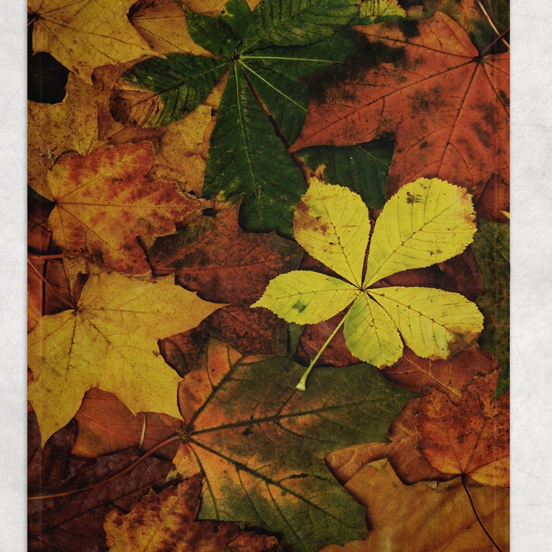 Leaf Throw Blanket - Etsy