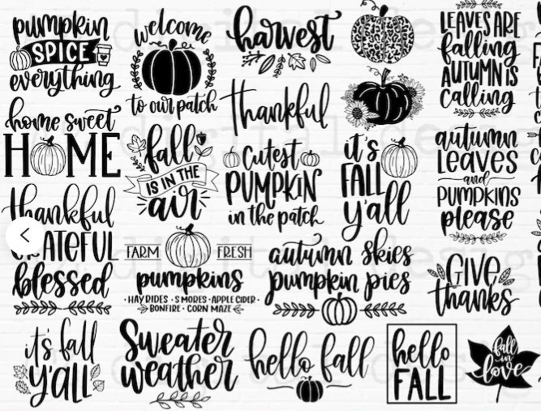 Fall Bundle, Fall is Here, Beautiful Fall Designs, Fall SVG, Changing ...