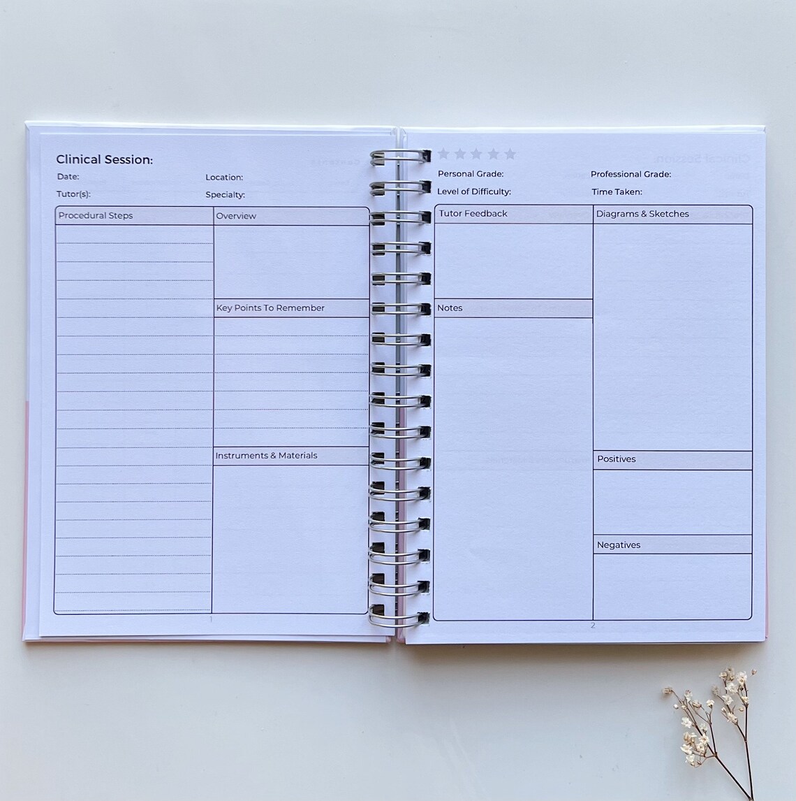 Personalised Dental Student Phantom Head Lab Clinical Skills | Etsy