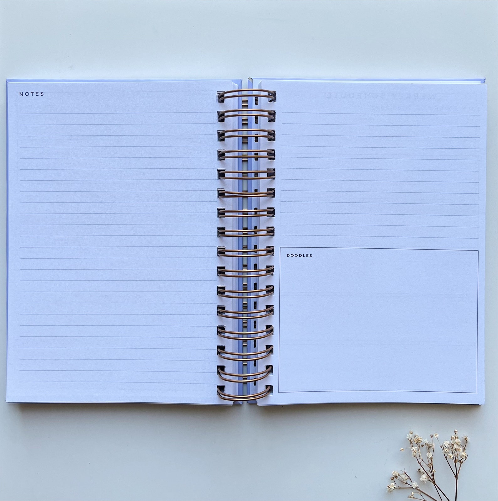 12 Month Dental Diary Personalised A5 Academic Planner for | Etsy