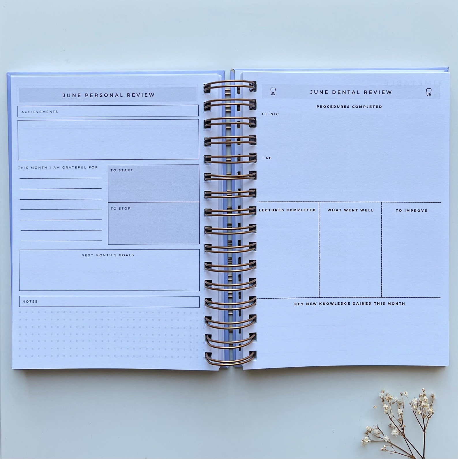 12 Month Dental Diary Personalised A5 Academic Planner for | Etsy