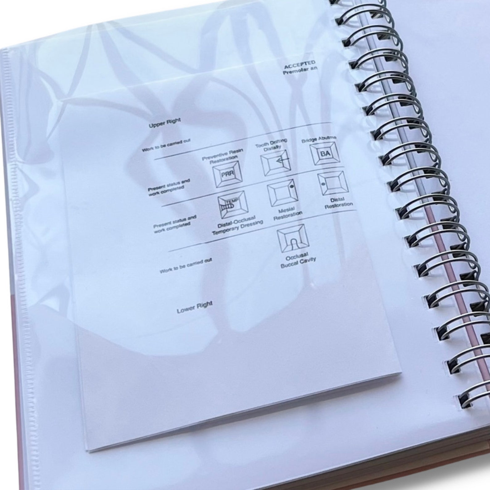 Personalised Dental Student Phantom Head, Lab, Clinical Skills Sessions ...