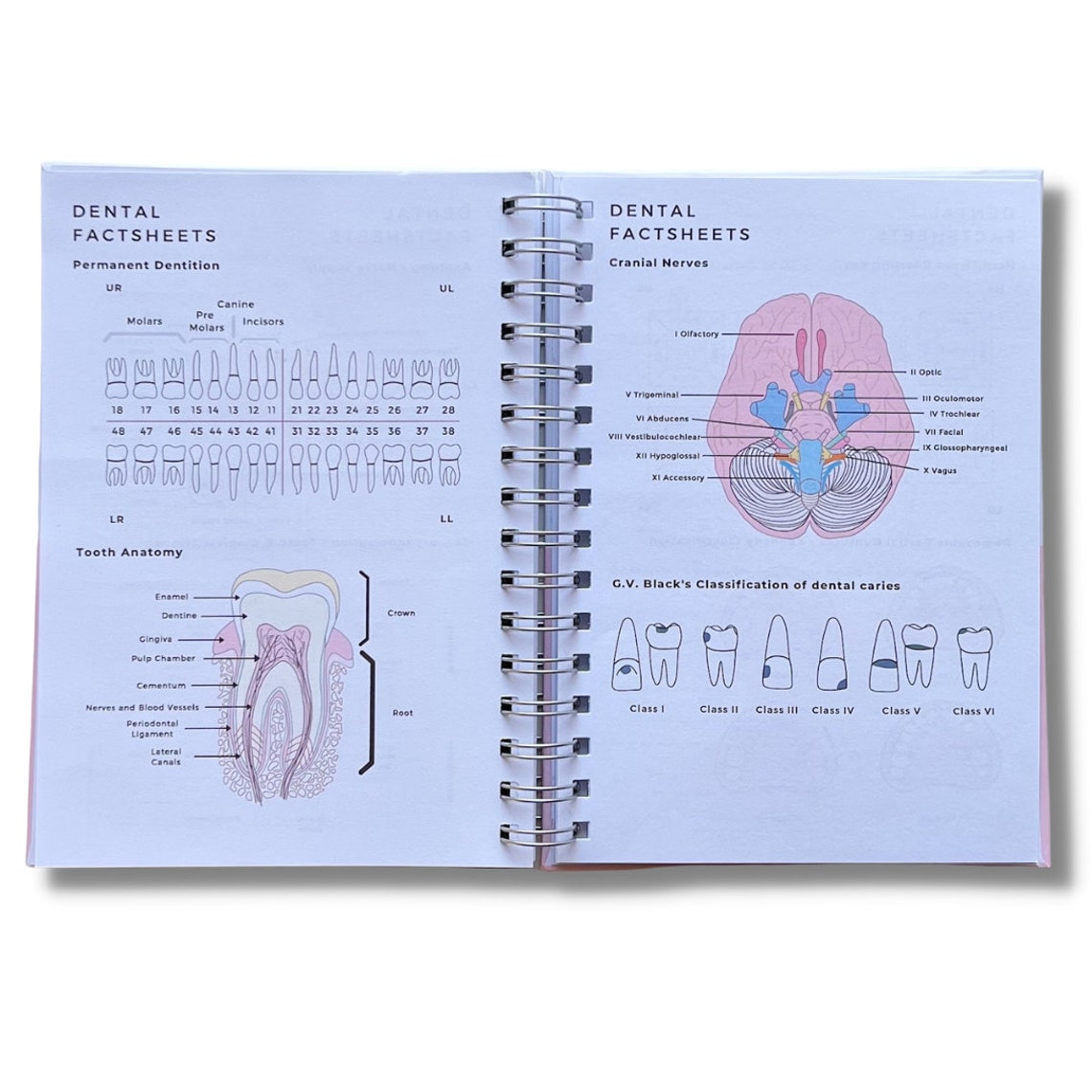 Personalised Dental Ruled Spiral Notebook - Etsy