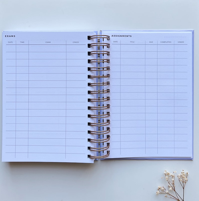 6 Month Dental Diary - Personalised Academic Daily Planner for Dental ...