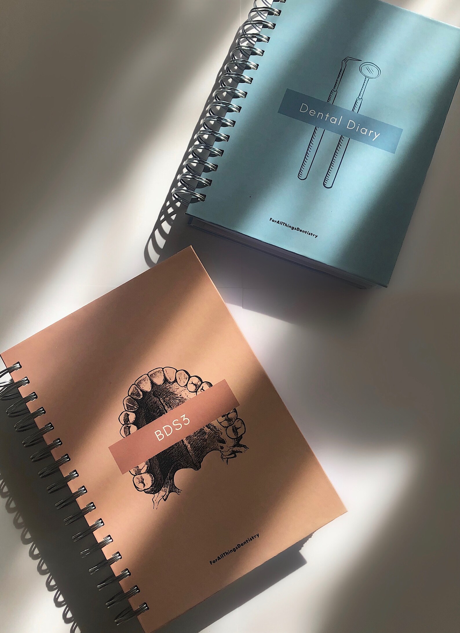 12 Month Dental Diary Personalised A5 Academic Planner For | Etsy