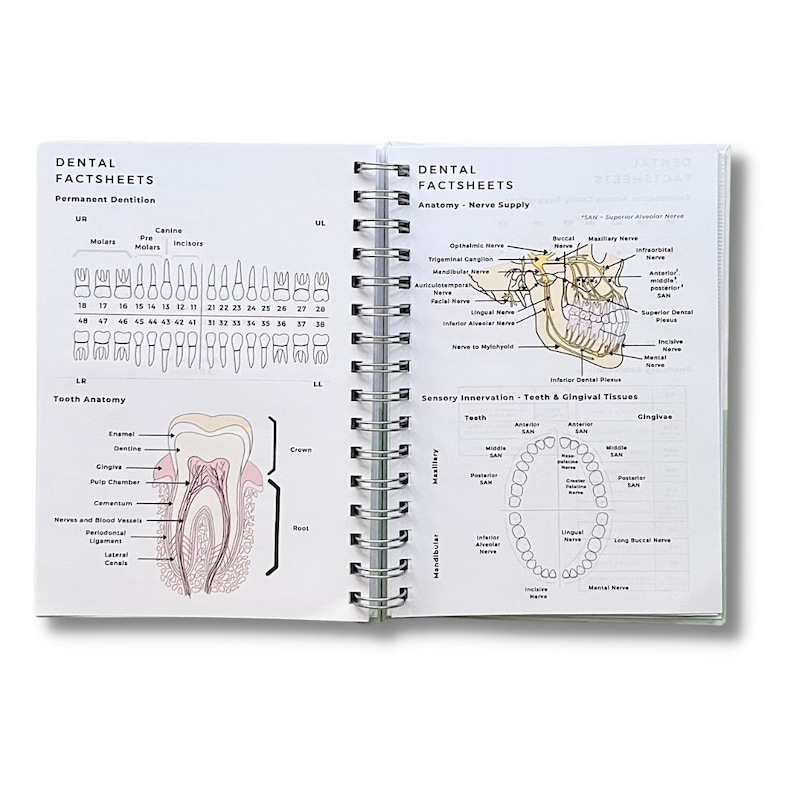 Personalised Dental Ruled Spiral Notebook - Etsy