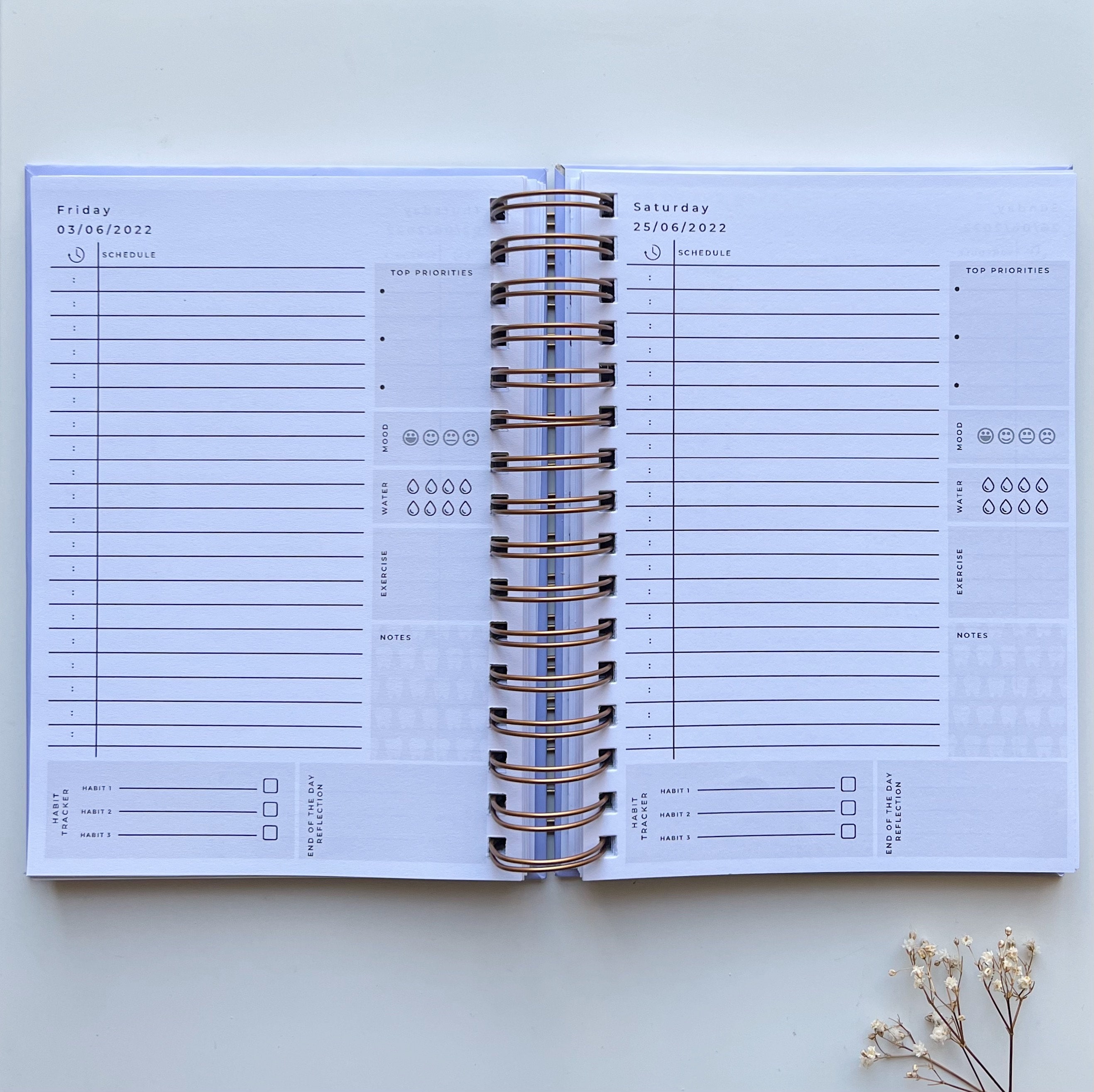 6 Month Dental Diary - Personalised Academic Daily Planner for Dental ...