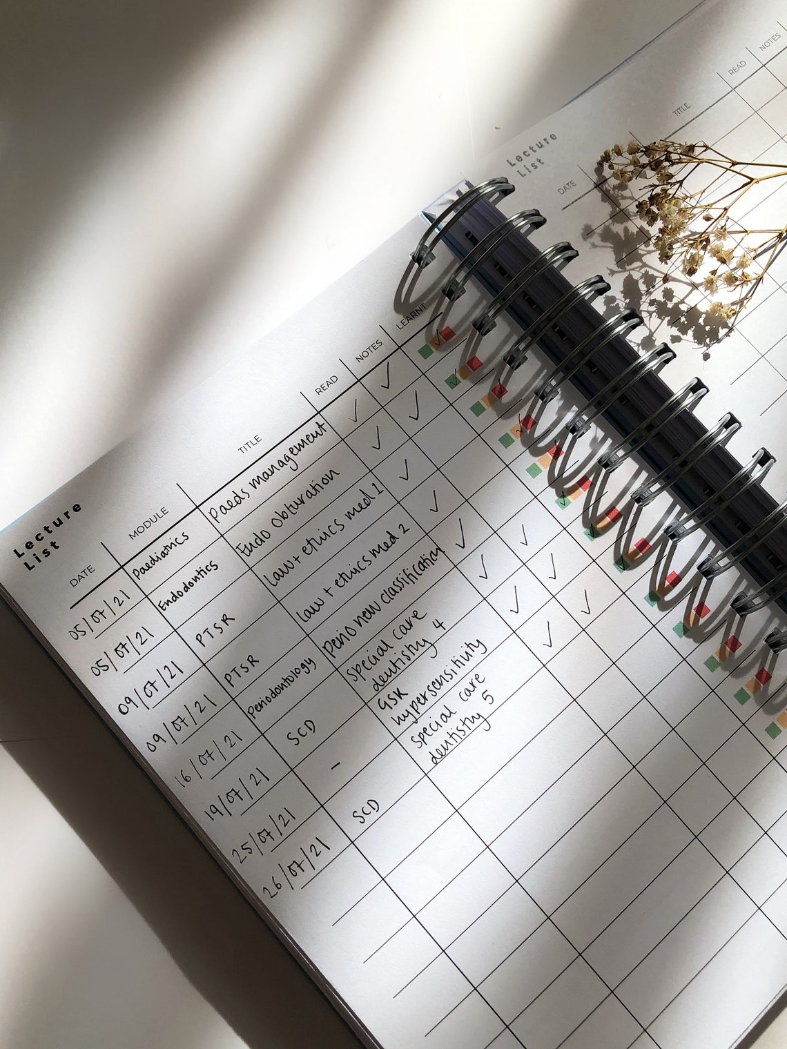 12 Month Dental Diary Personalised A5 Academic Planner For | Etsy