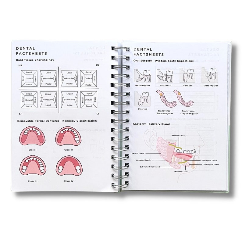 Personalised Dental Ruled Spiral Notebook - Etsy