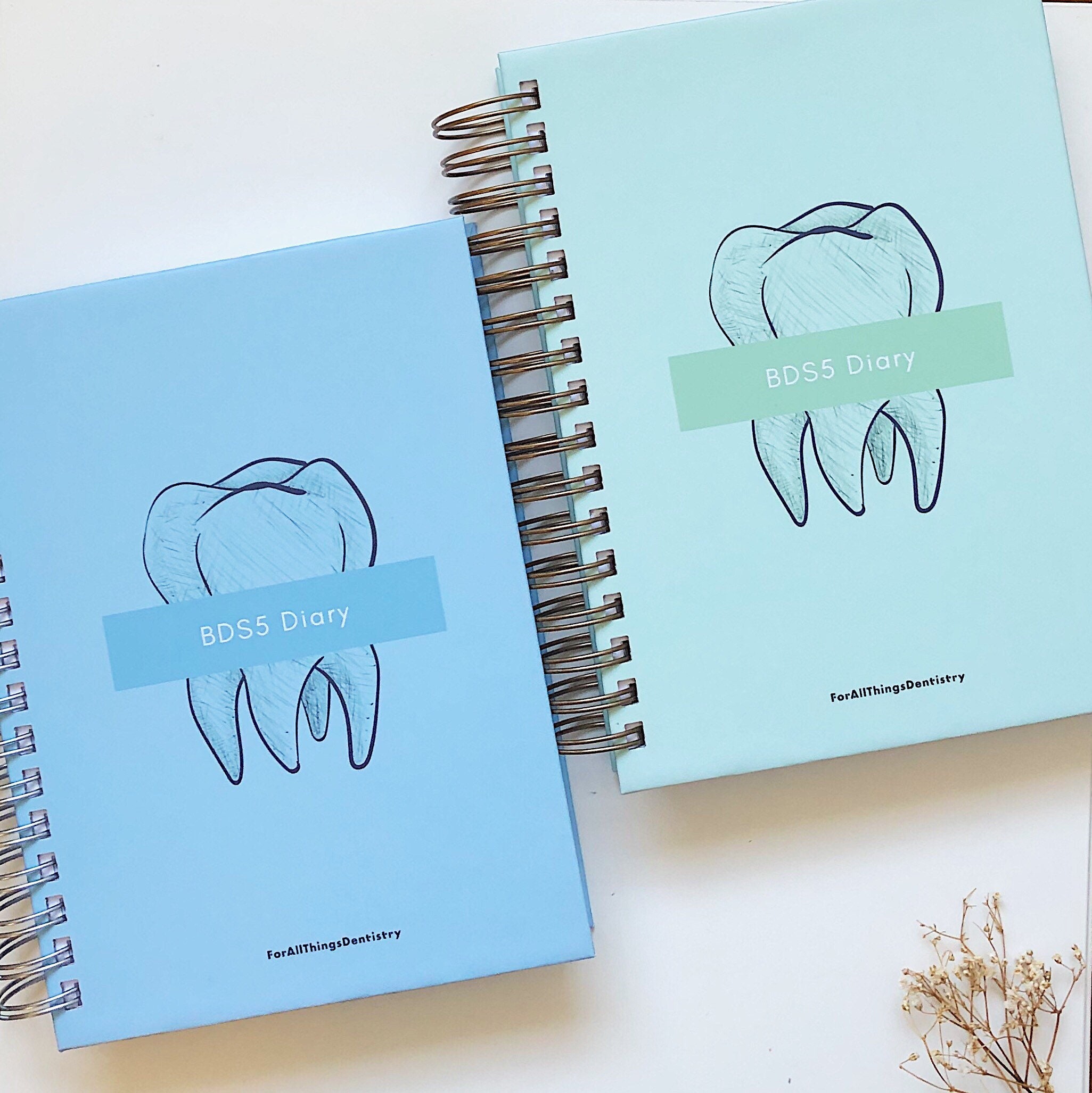 6 Month Dental Diary - Personalised Academic Daily Planner for Dental ...