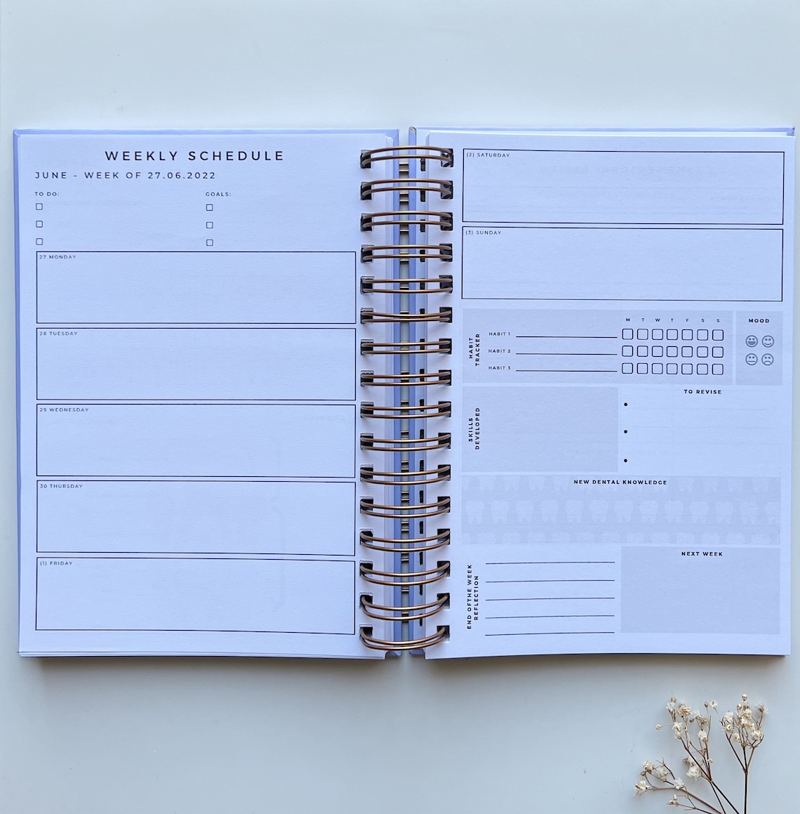 12 Month Dental Diary Personalised A5 Academic Planner for | Etsy