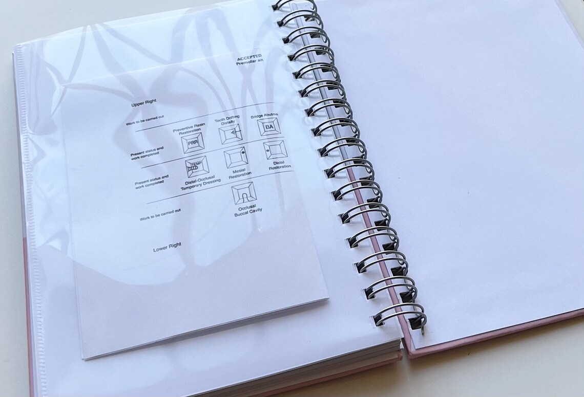 Personalised Dental Student Phantom Head Lab Clinical Skills - Etsy