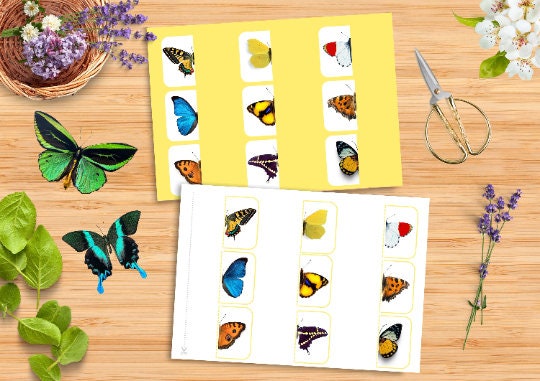 Montessori Butterfly Unit Study Busy Book Toddler Nature Activity Cards ...